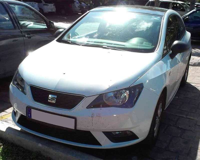 Seat Altea Schwachstellen