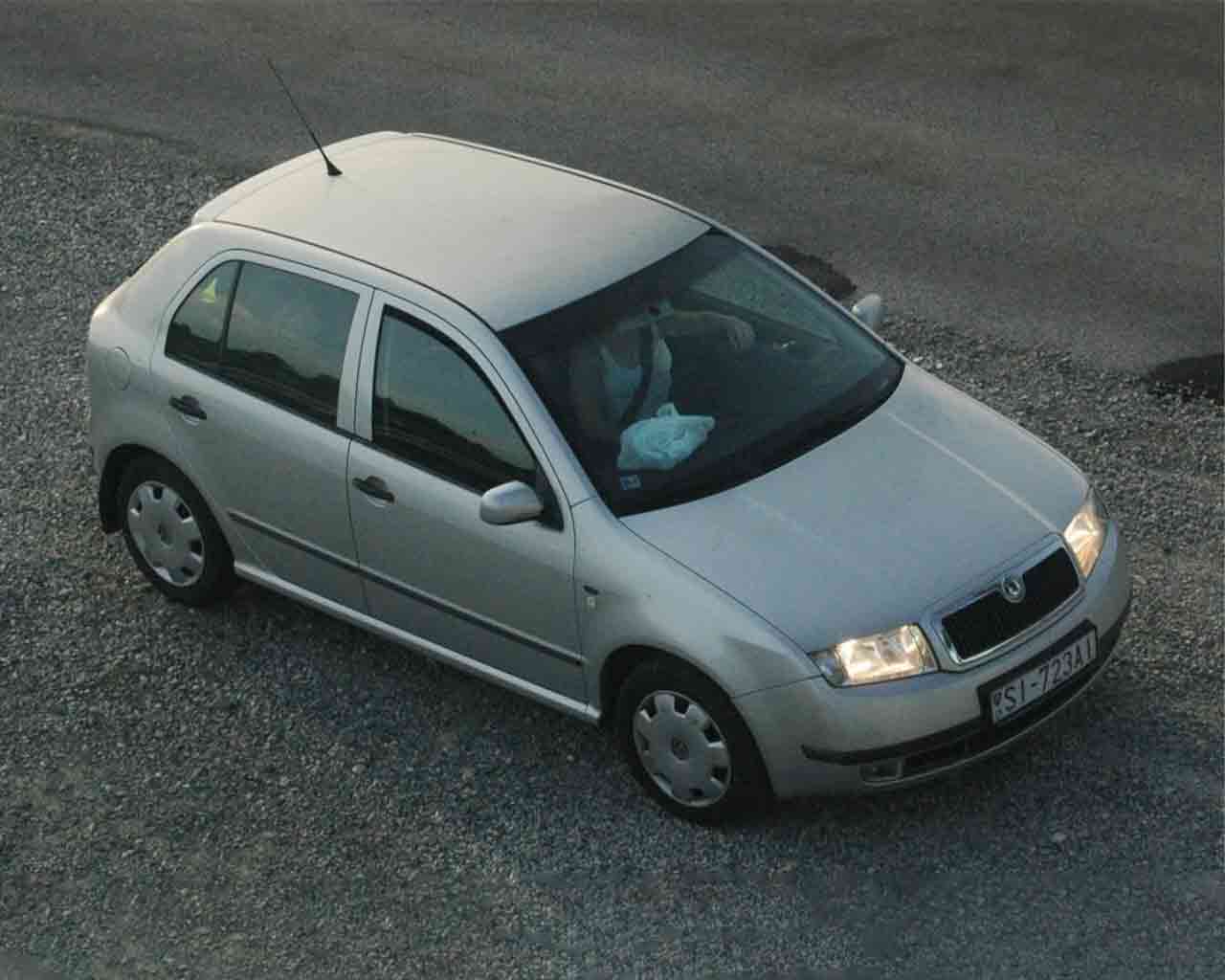 Skoda Fabia 1 Schwachstellen